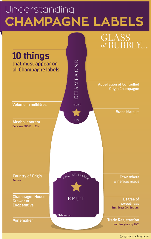 Free Champagne & Sparkling Wine Infographics - Glass Of Bubbly